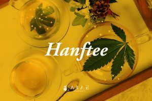 Hanftee: Was ist das und welche Eigenschaften hat er?